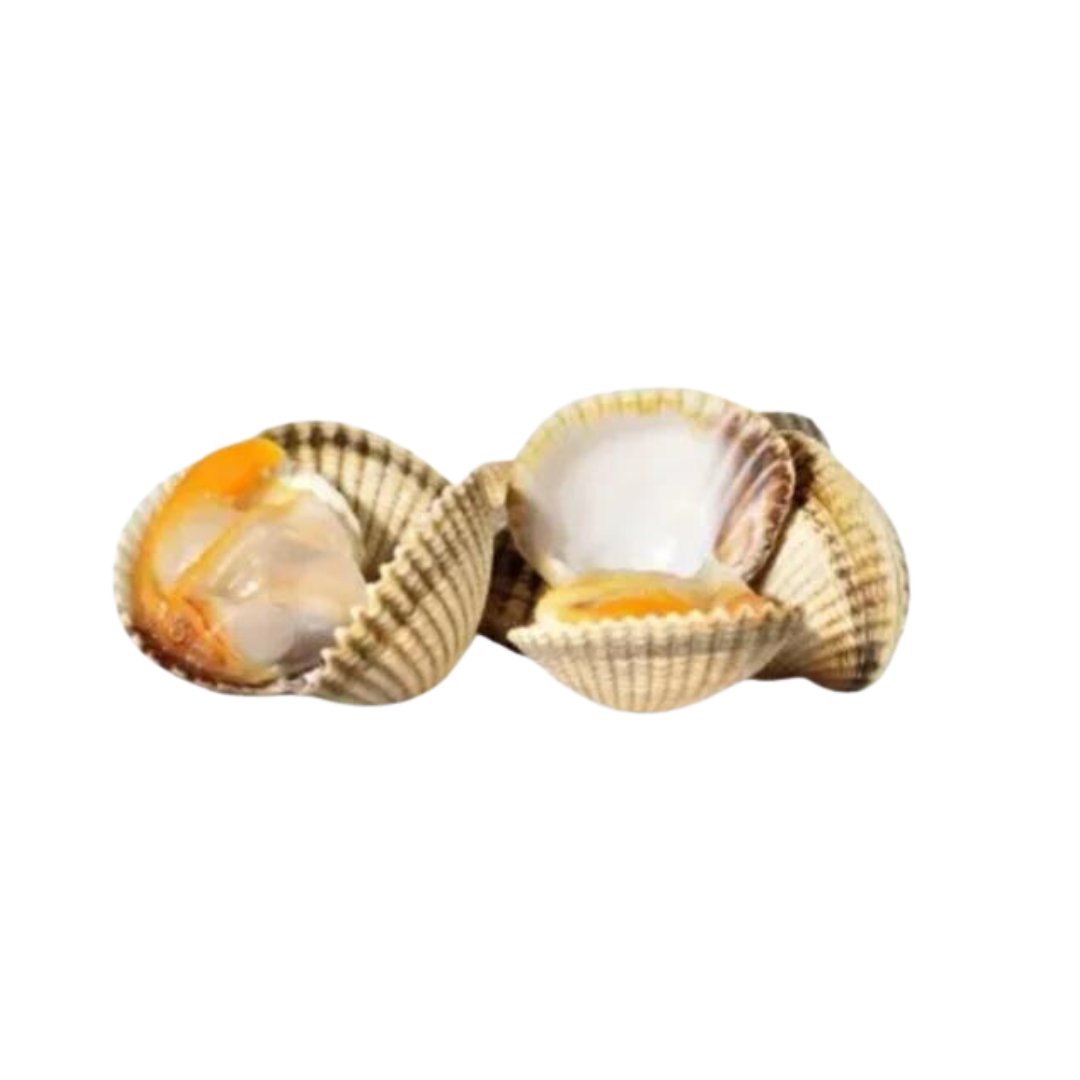 French Live Cockles 1kg - Club France Hong Kong
